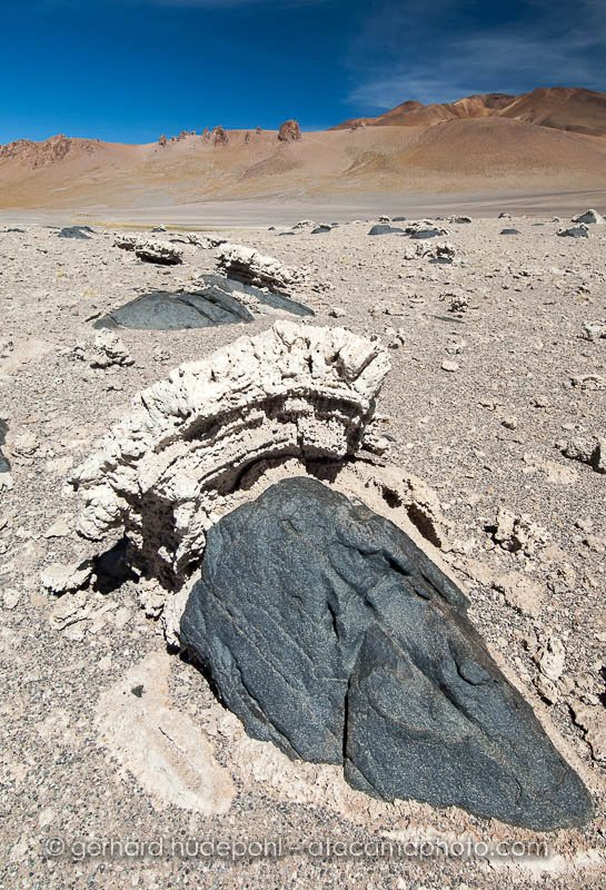 Evidence of a paleo lake at the altiplano of Chile - Image D2X4219.jpg ...